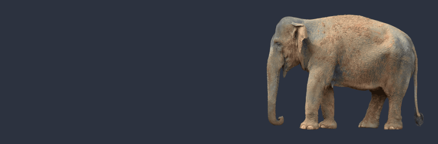 The (augmented reality) elephant in the ballroom